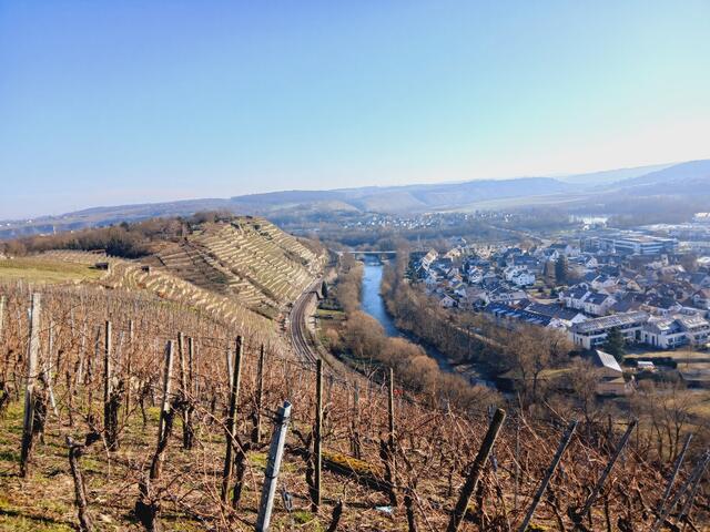 Februar-Tour unserer "Wandergruppe" - Besigheim: Mit fantastischen ...