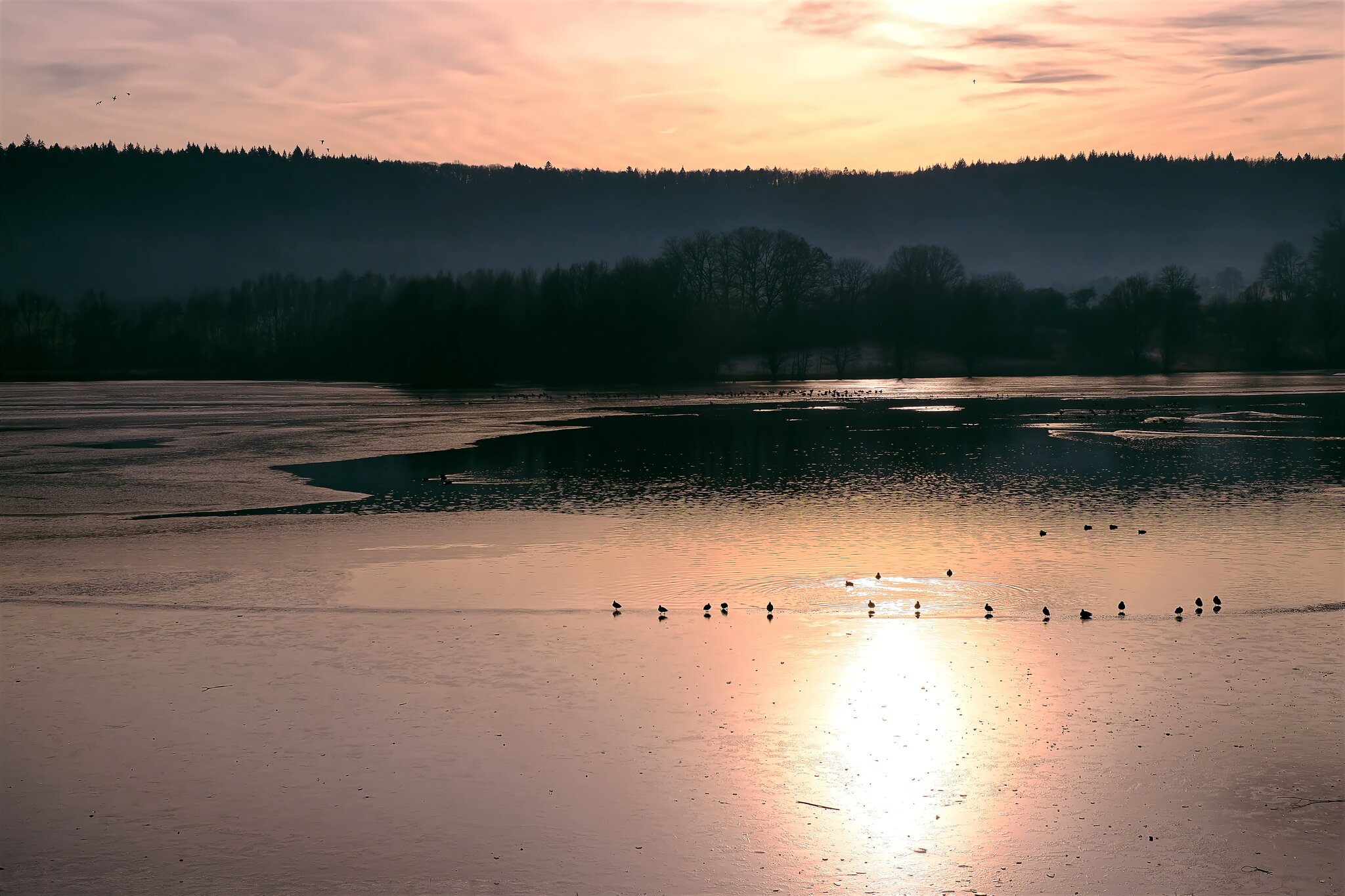 Im Winterwunderland: Winterlandschaft in Eppingen und im Zabergäu ...