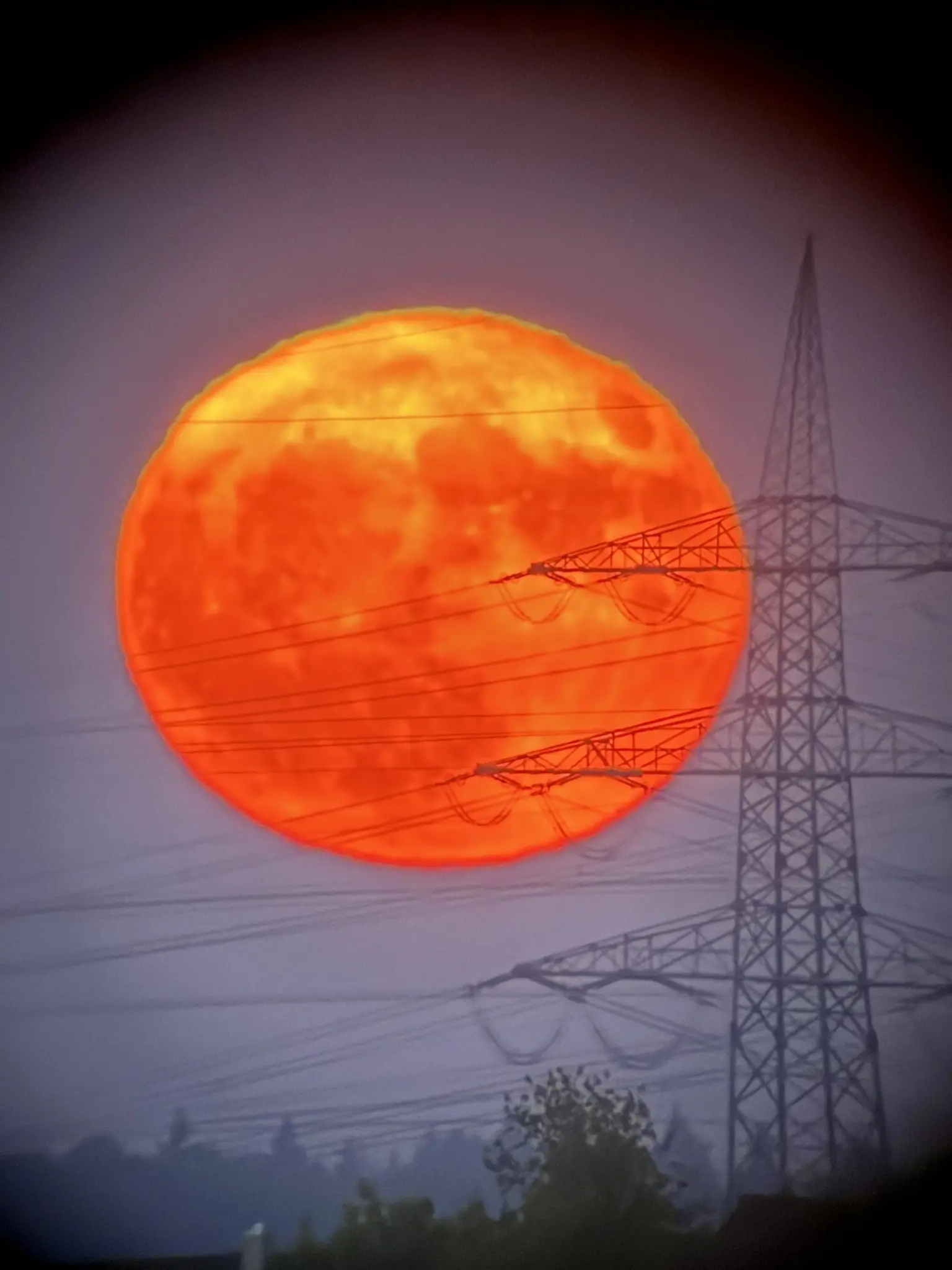 Hoch: Foto-Gewinnspiel - Leingarten