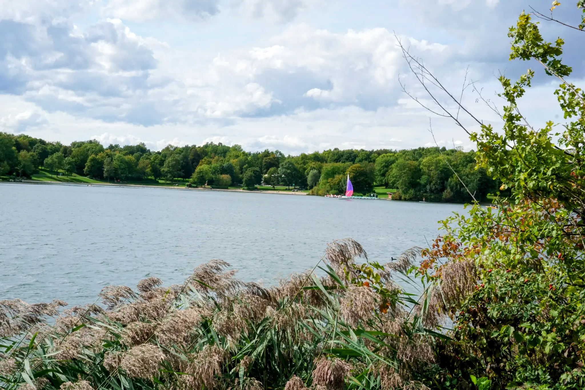 Ausflugsziel Breitenauer See: Am Breitenauer See kehrt wieder Ruhe ein ...