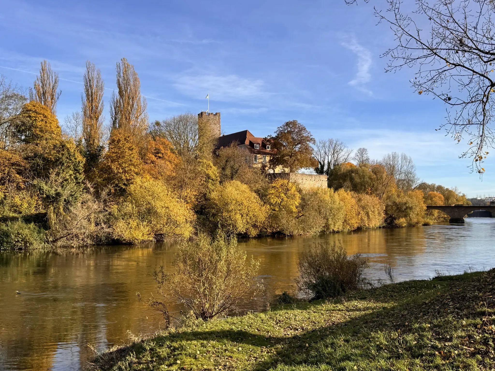 „Lina-Hähnle-Auwald“: Die Nachtigalleninsel - Bad Friedrichshall