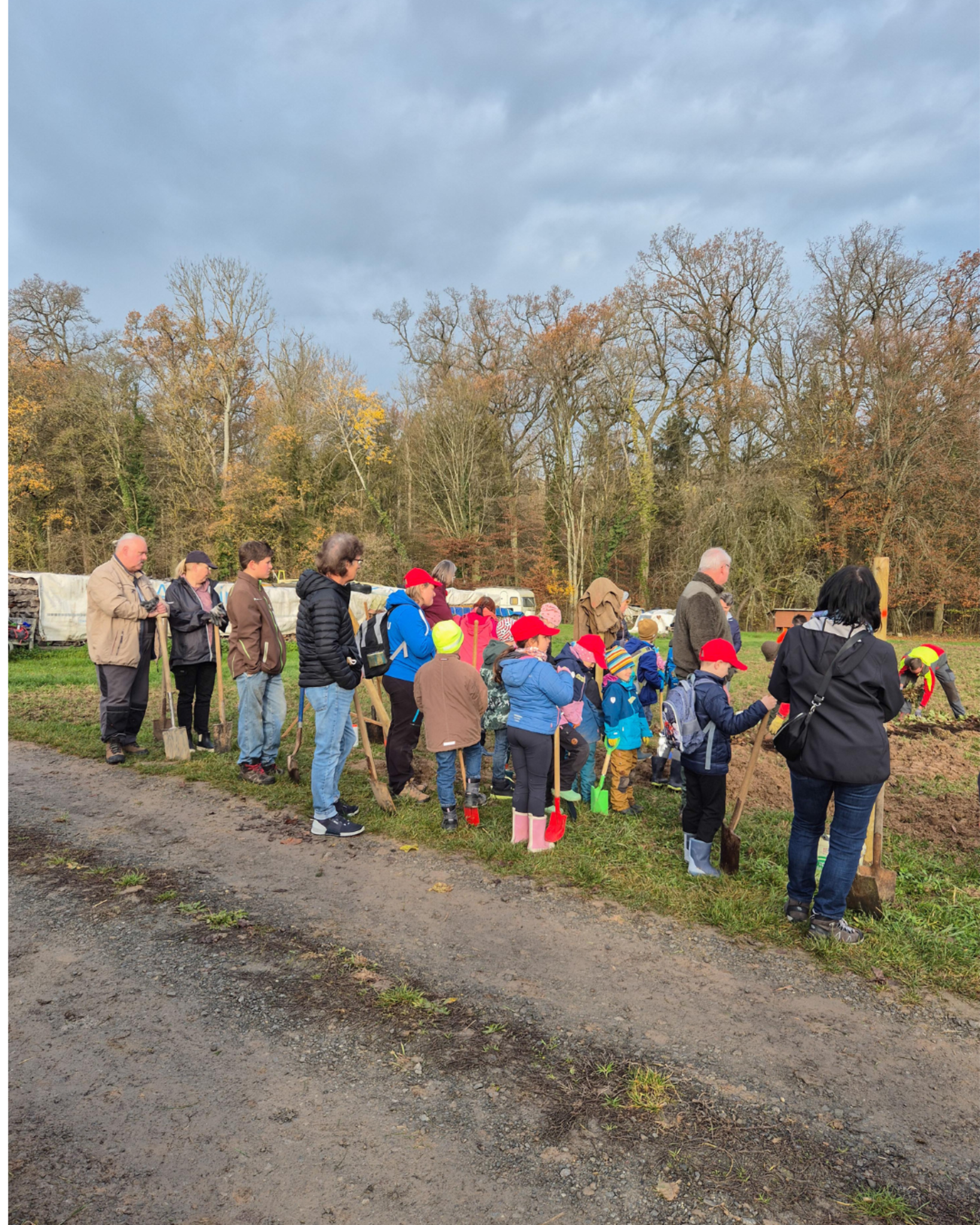 700 Jahre – 700 Eichen: Baumpflanzaktion in Niederhofen - Schwaigern