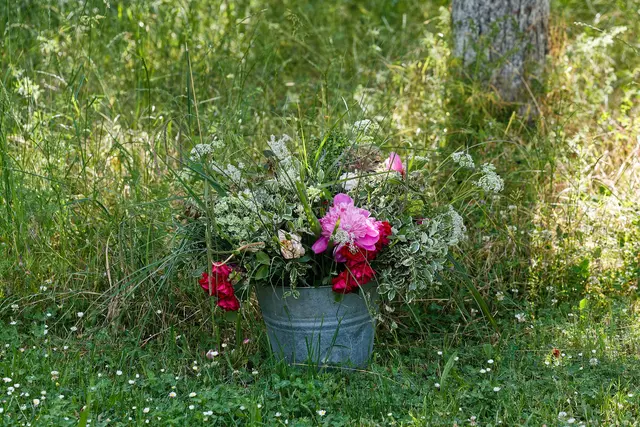 Sommeranfang: Sonntag Morgen im BOG - Teil 2: Rosenfest - Heilbronn