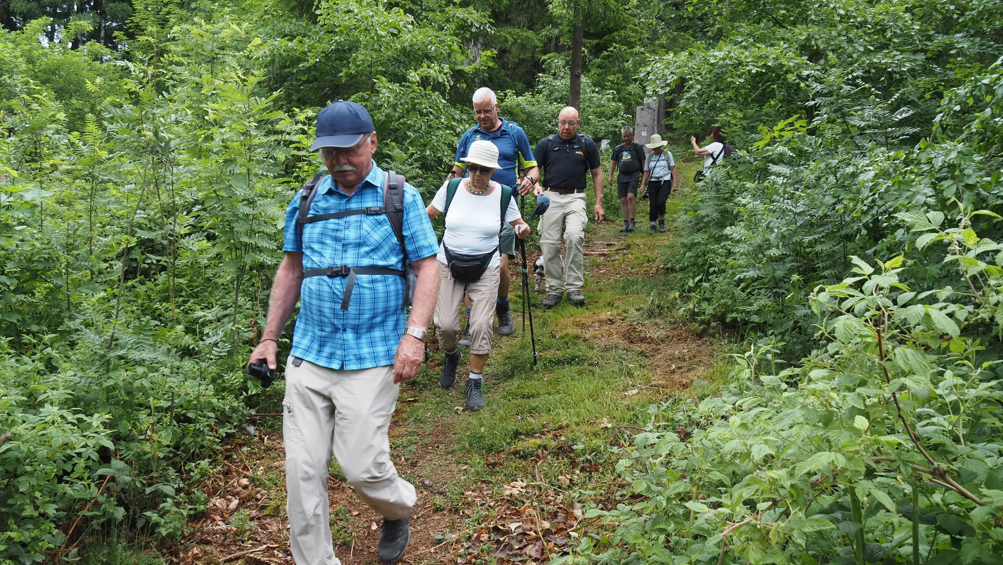 Wandern und Genießen..... in Thüringen: Unterwegs auf dem ...