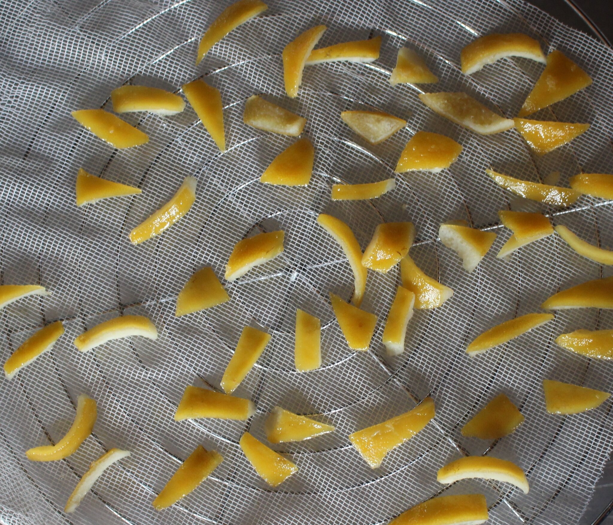 Zitronat nach der Anleitung von Frau Di Girolamo´s Orangeat