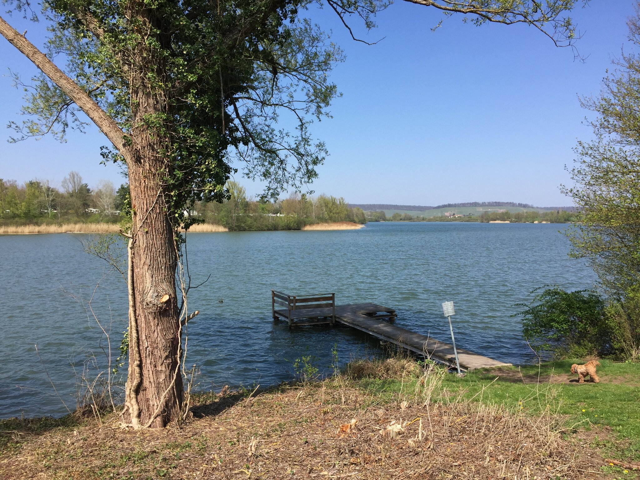 Frühlingstag am Breitenauer See