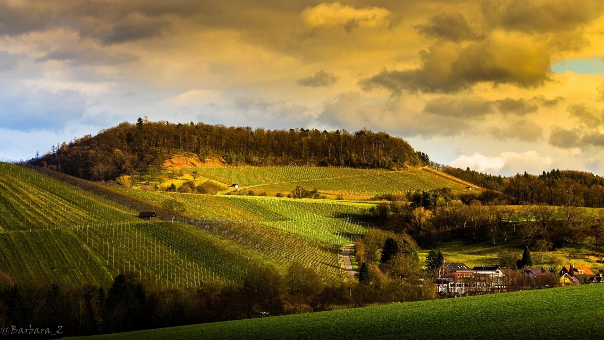 Sonne über dem Weinberg Unterheimbach