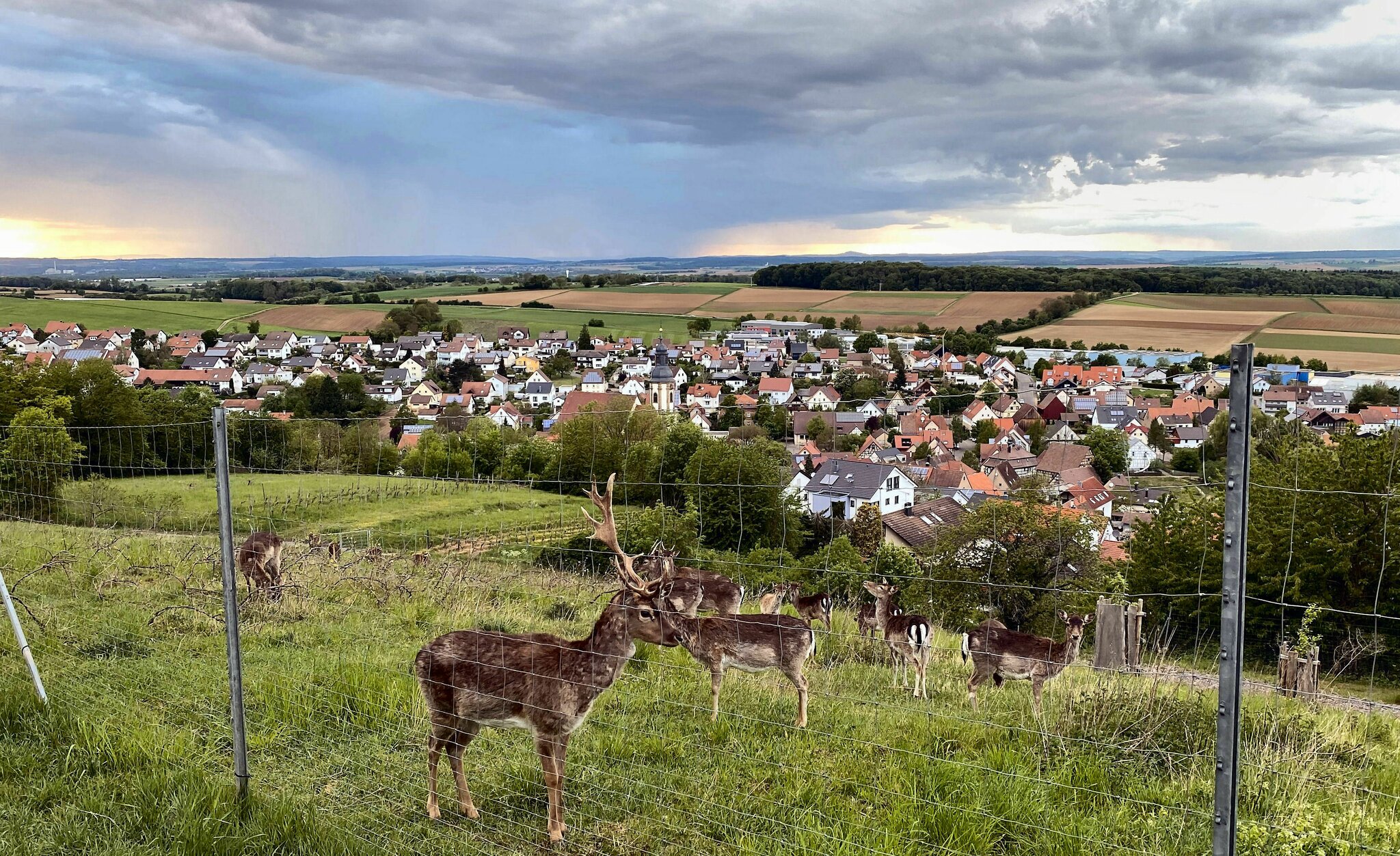 In Dahenfeld lässt sich's aushalten