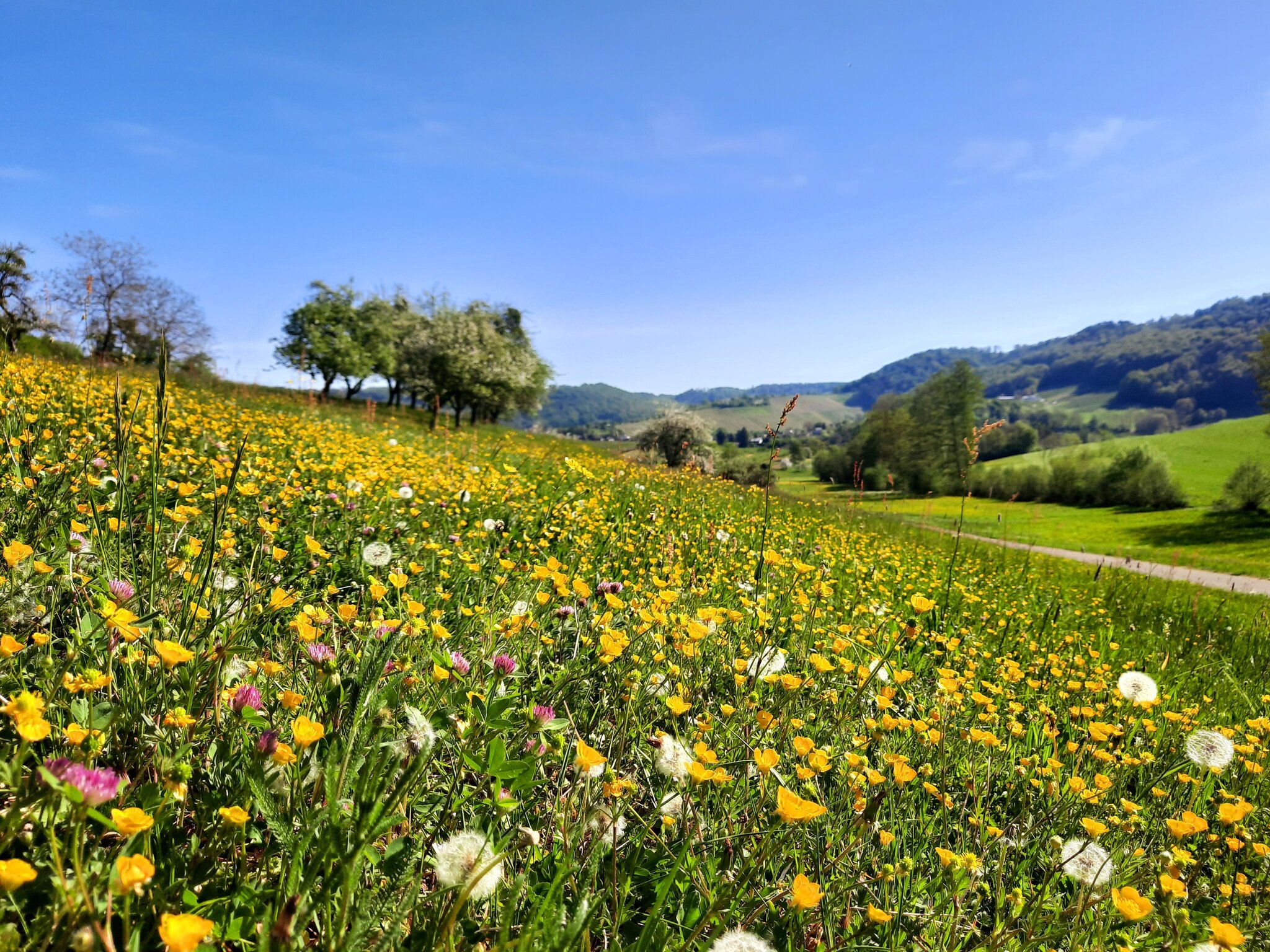 Den Frühling genießen