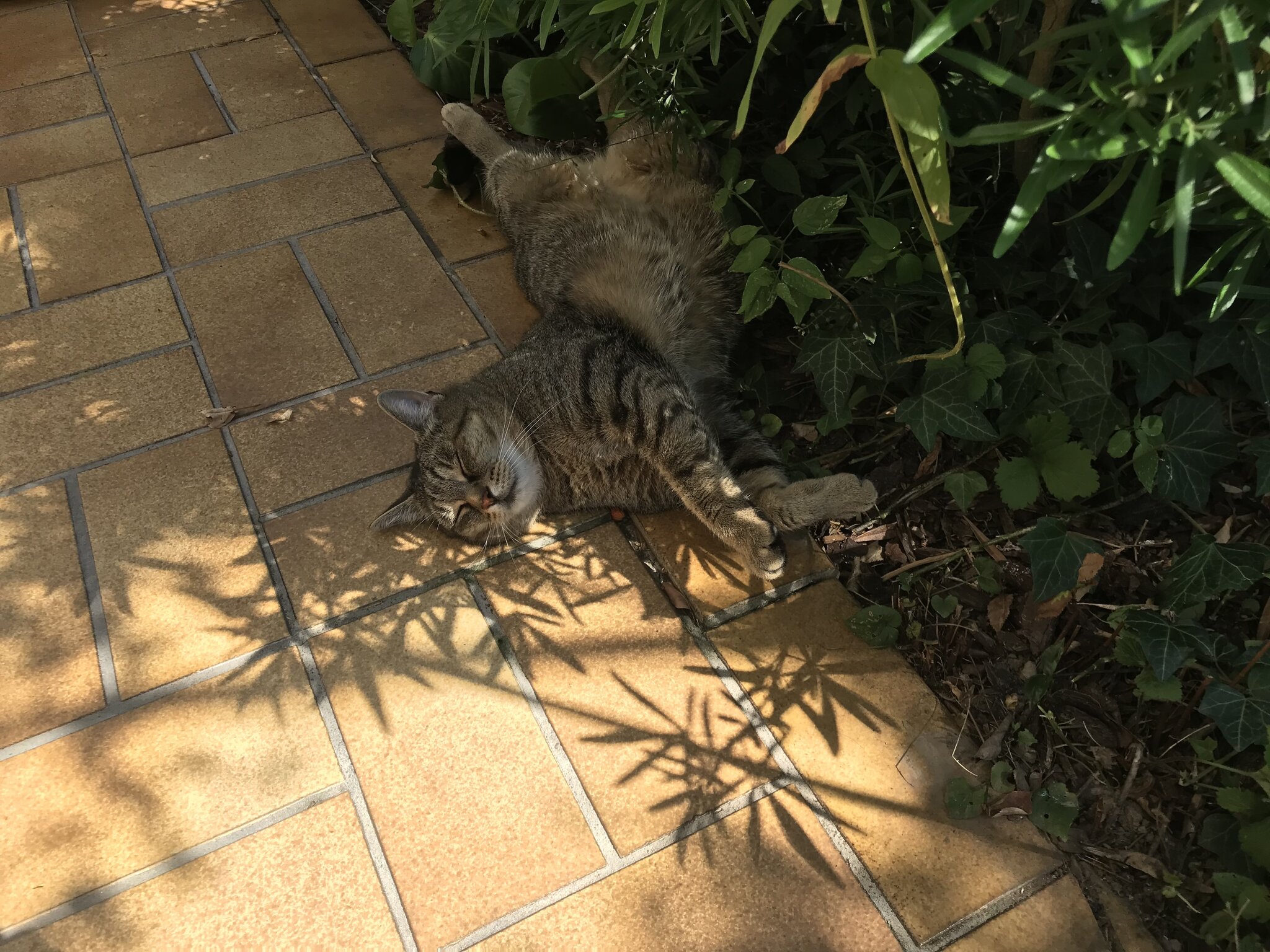 Jerry ist total erledigt