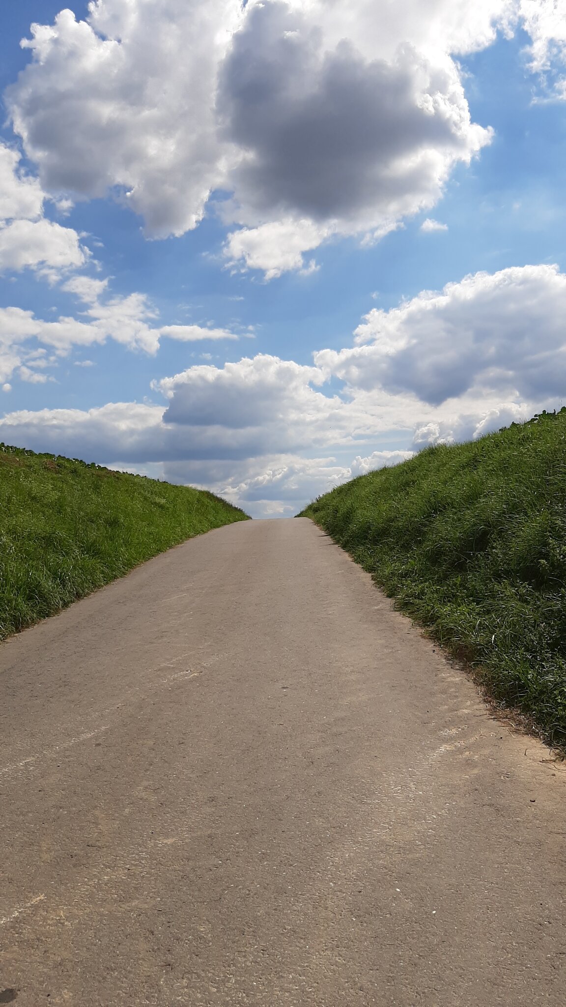 Weg ins Ungewisse?????