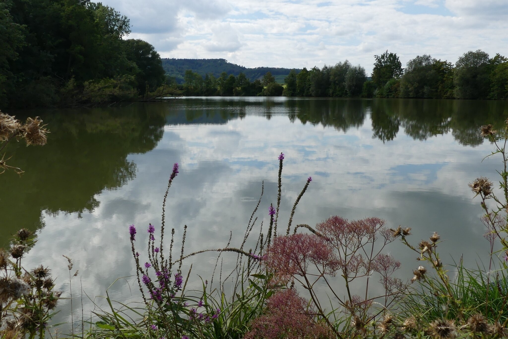 Ruhe am Breitenauer See