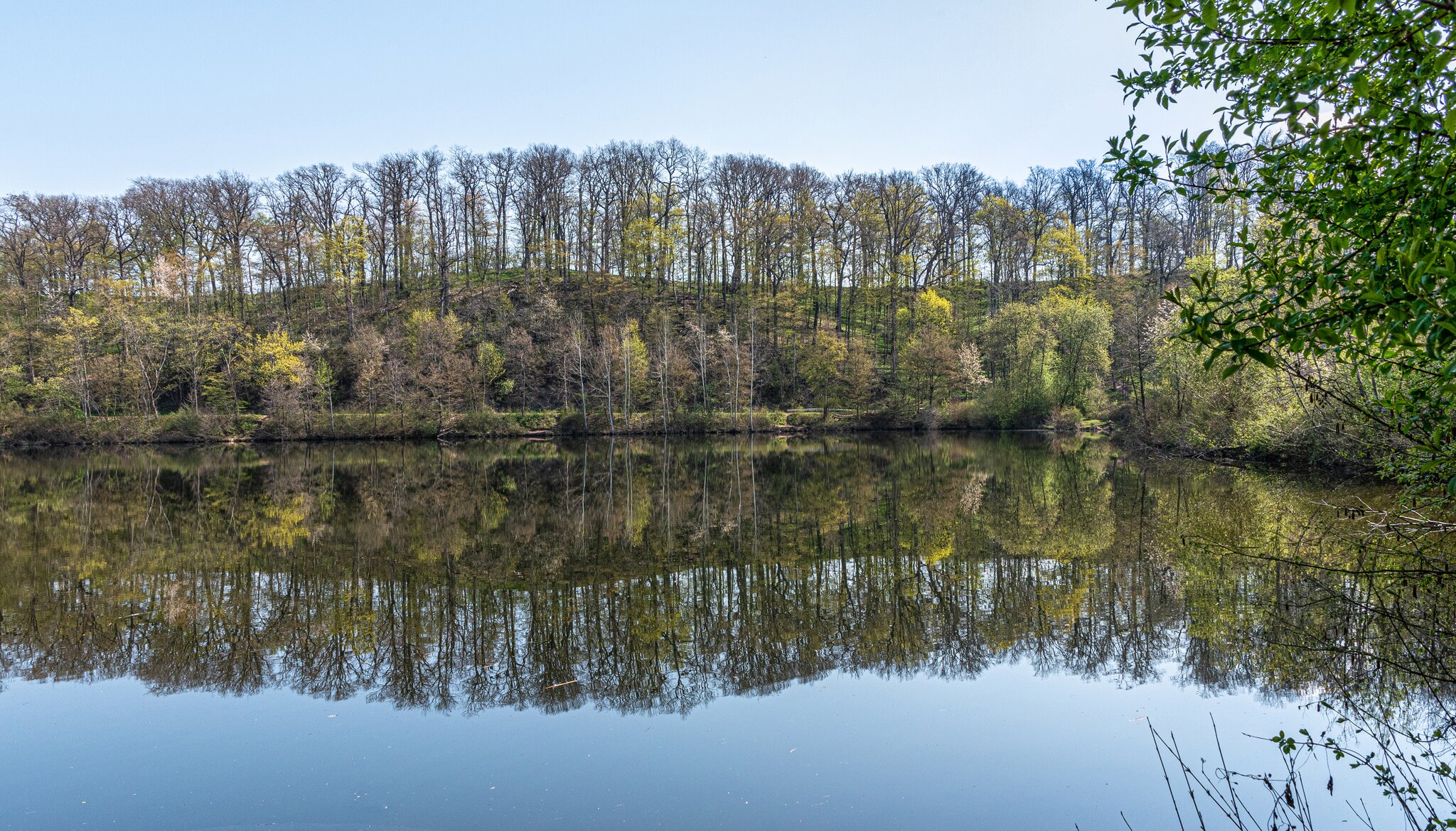 Symmetrie am Katzenbachsee * 21. April 2021