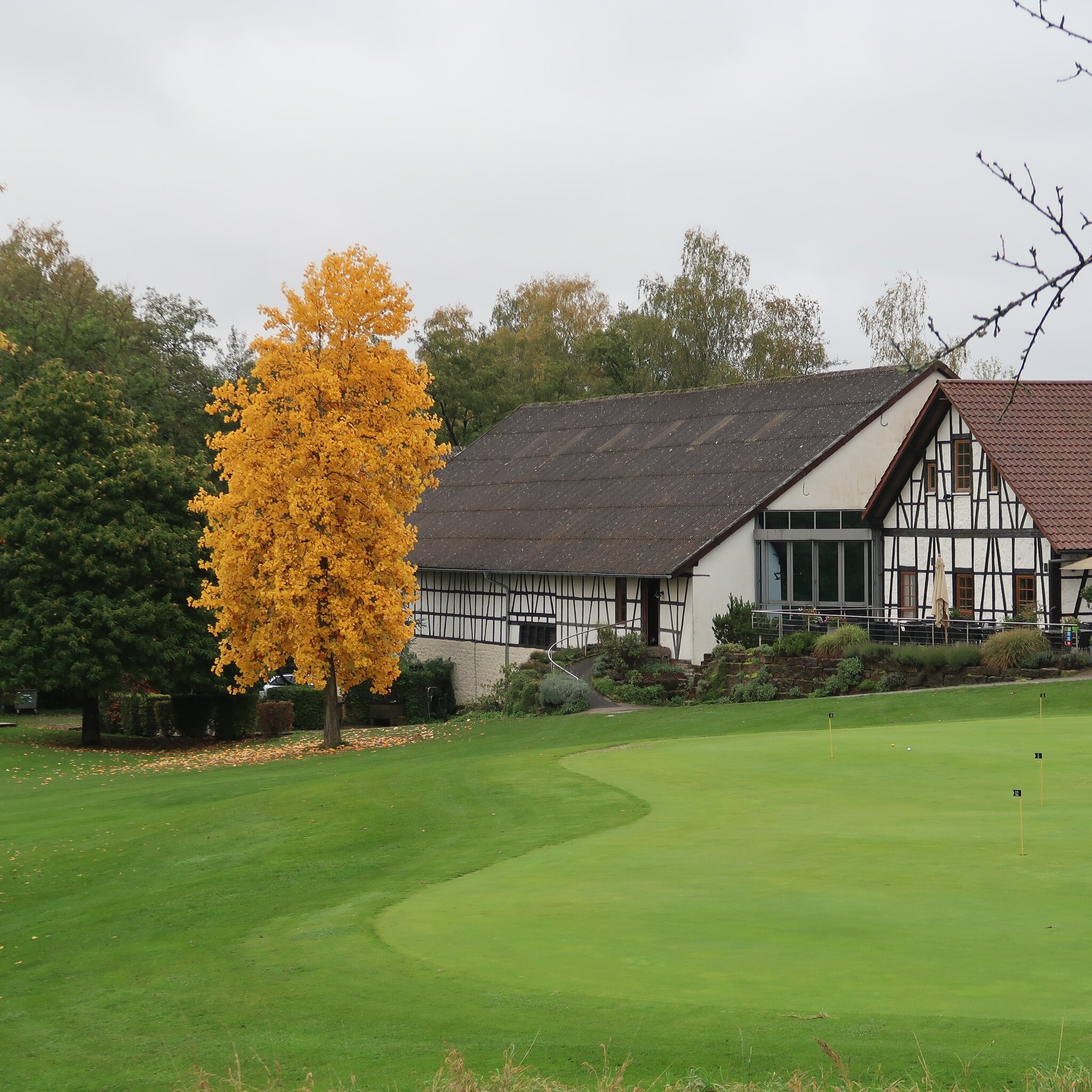Bad Rappenau Golf