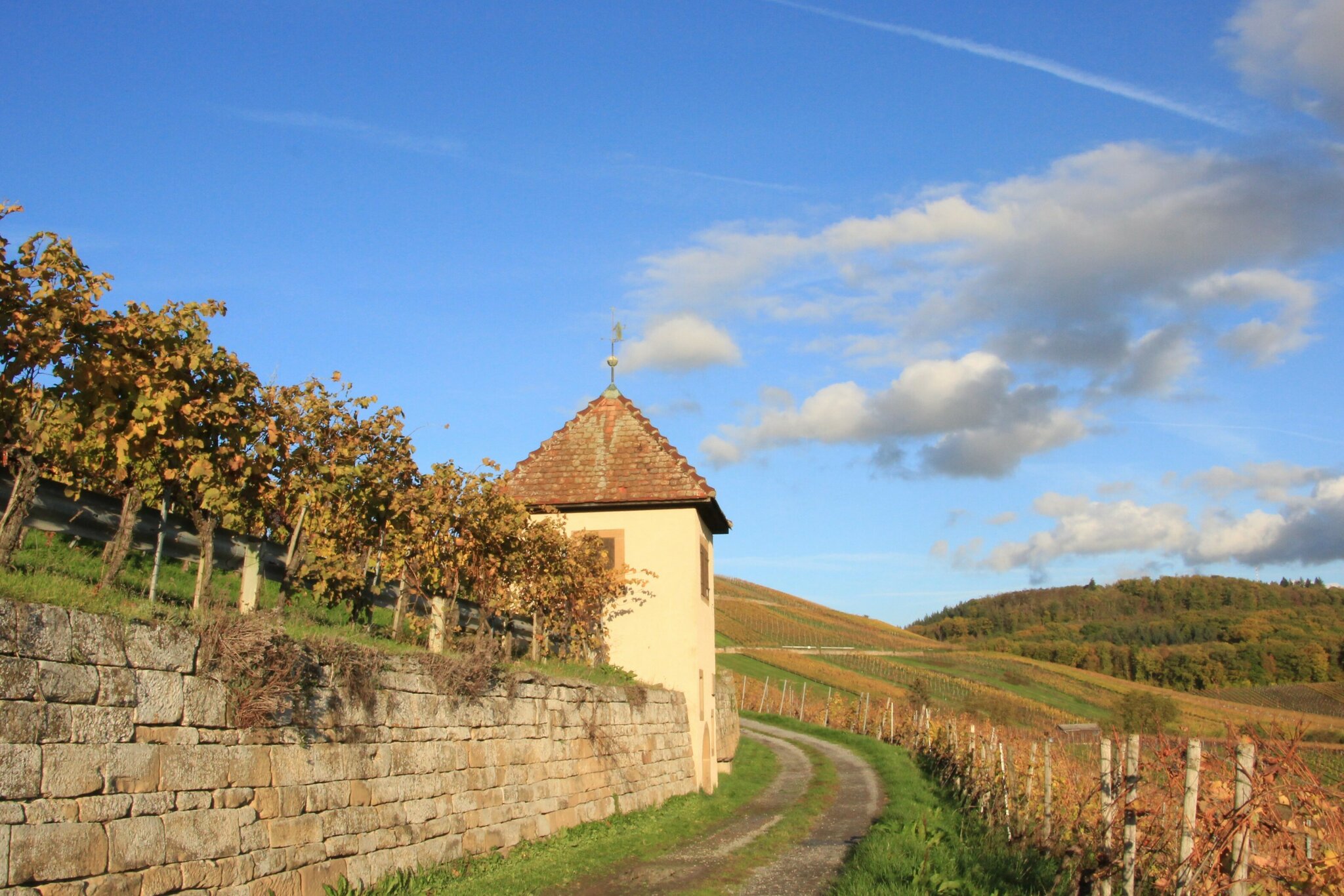 Das Karmeliterhaus von Flein