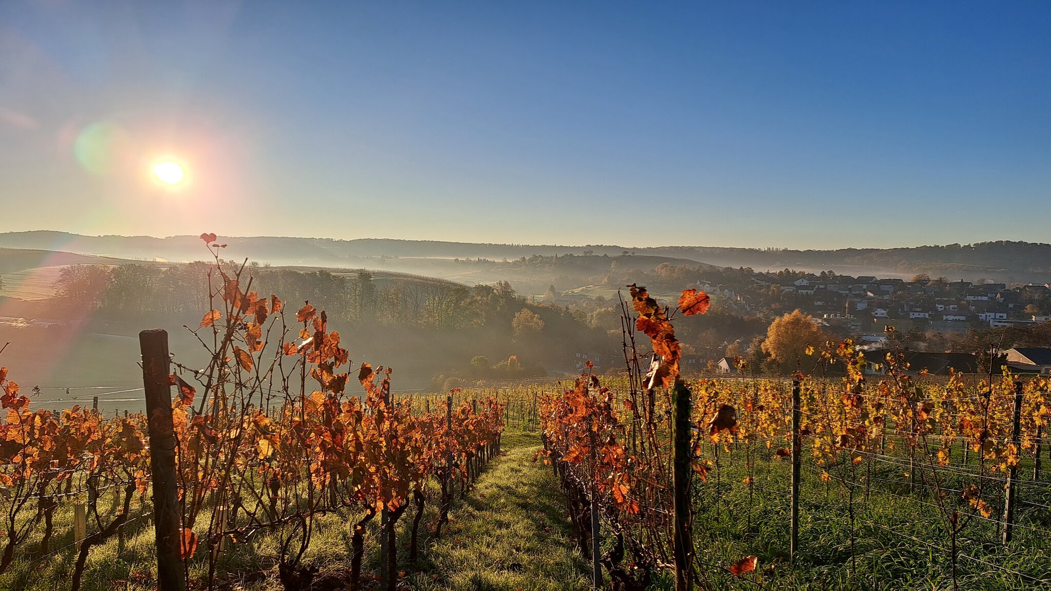 Morgennebel über Flein