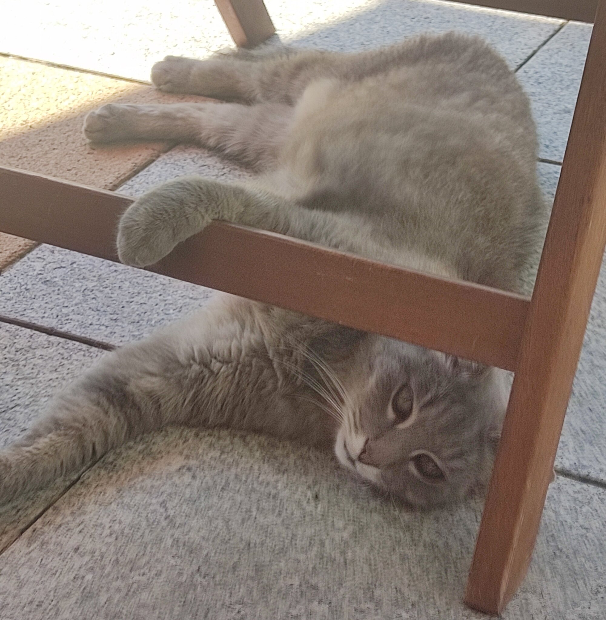 Joe mal in cooler Pose.